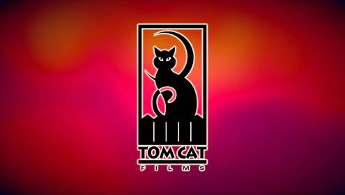 Tomcat Films Makes The Best (Worst) Movies in America | America Fun ...